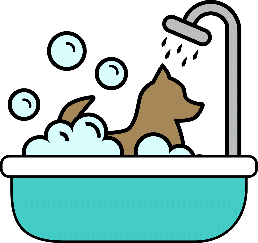 Dog Grooming Packages