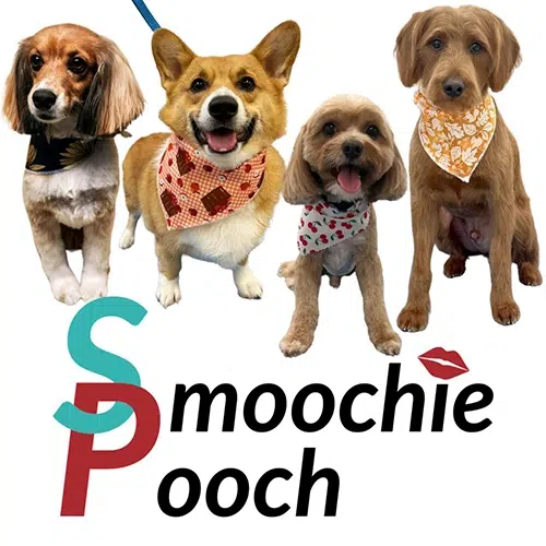 Smoochie Pooch Dog Grooming Spa | Gainesville, FL